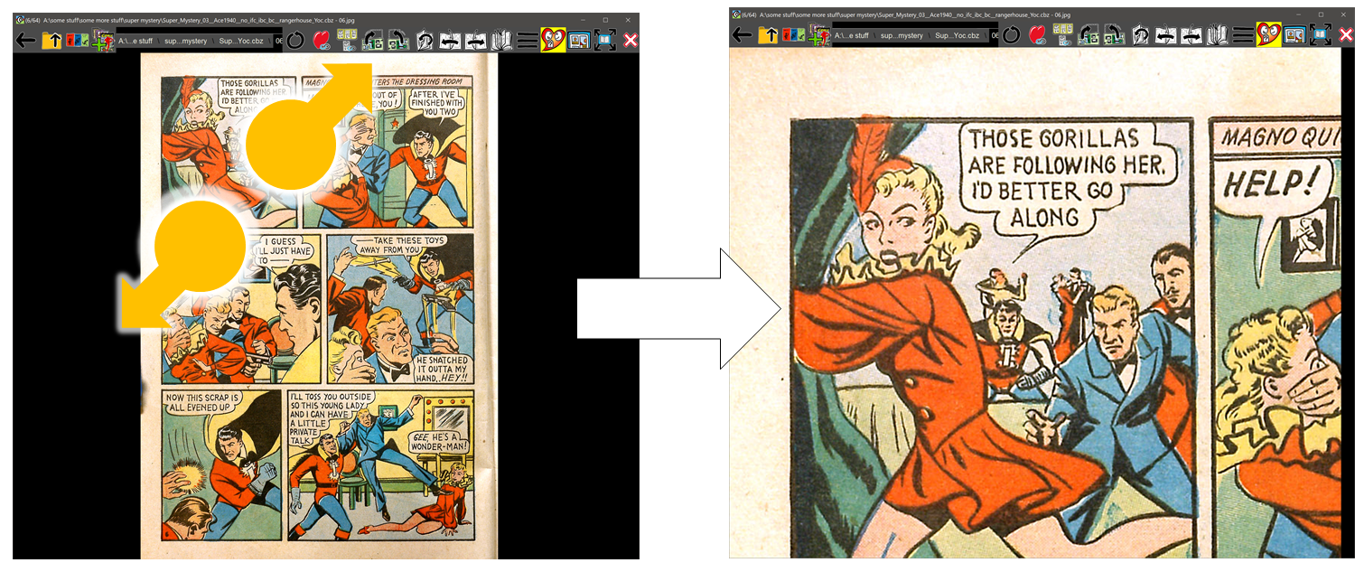 Comic reader and browser